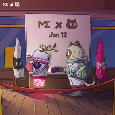 Jupy Cats Solana - DOXXY