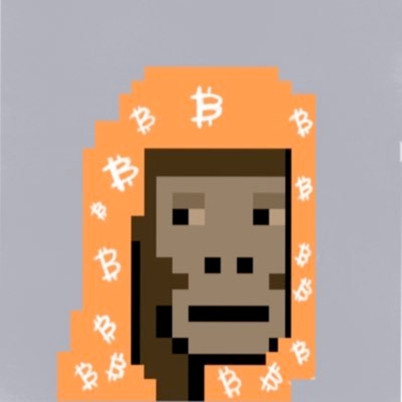 Pepe Bricks Ethereum - DOXXY
