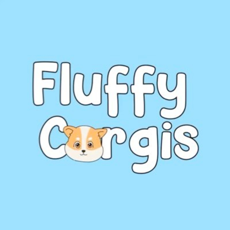 Fluffy Corgis Sei - DOXXY