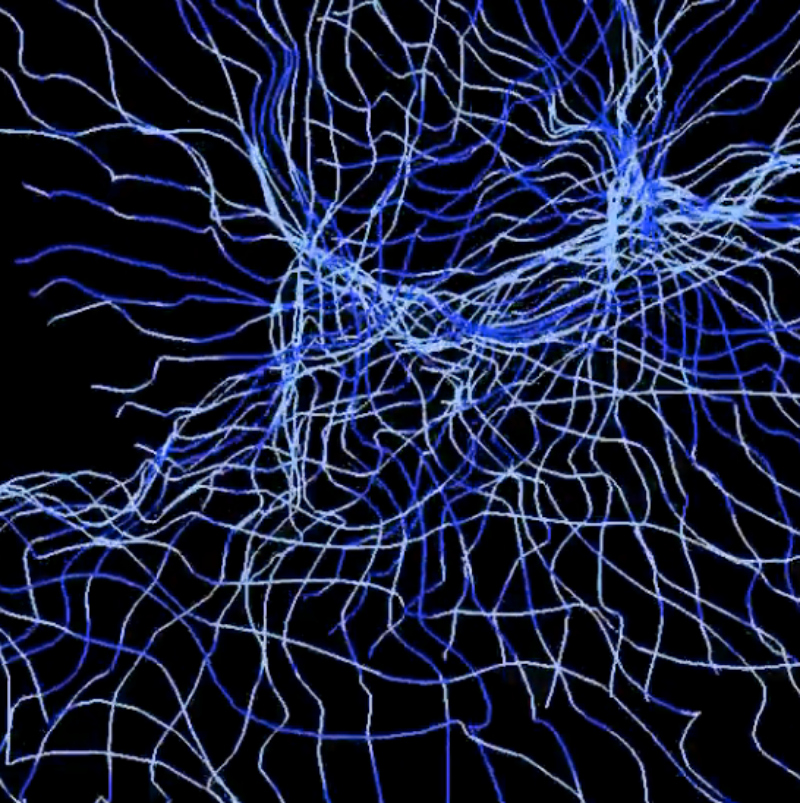 NYC 2024 Solana - DOXXY