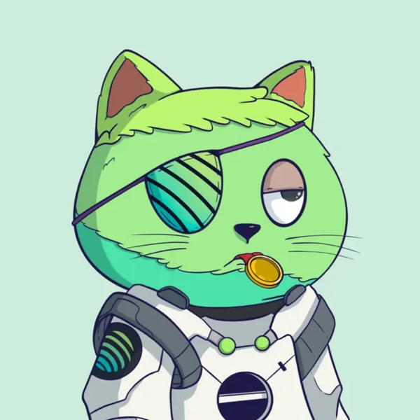 Jupy Cats Solana - DOXXY