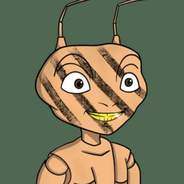 Limited Edition Ants Collection Solana - DOXXY